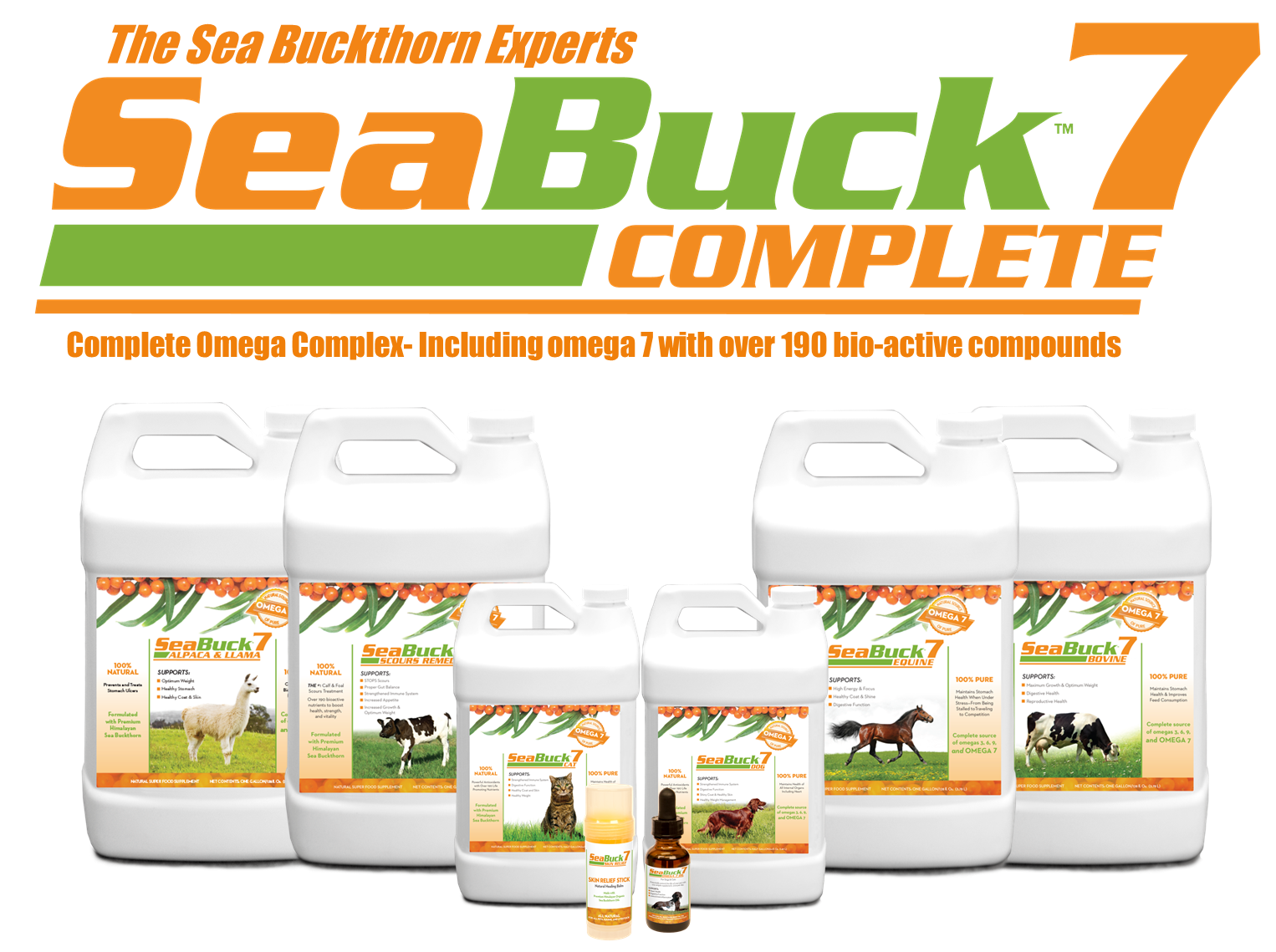 SeaBuck 7: The Sea Buckthorn Experts: Sea Buckthorn Powder: Why We Don ...