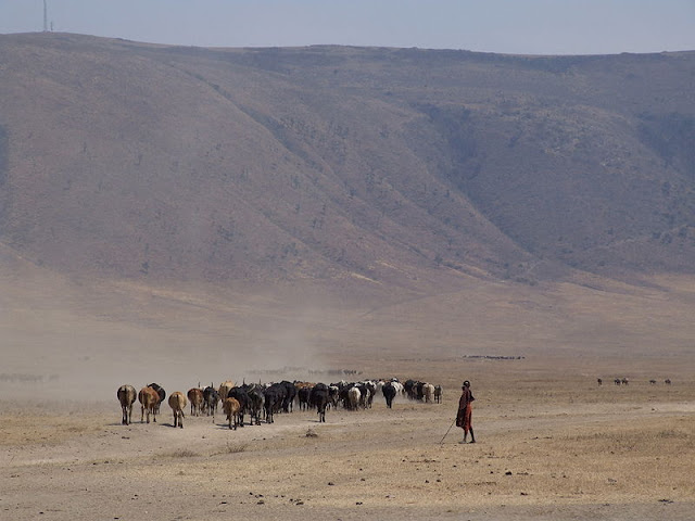Tonymann Tours&Safaris: MAASAI OF TANZANIA - PART 1. HISTORY