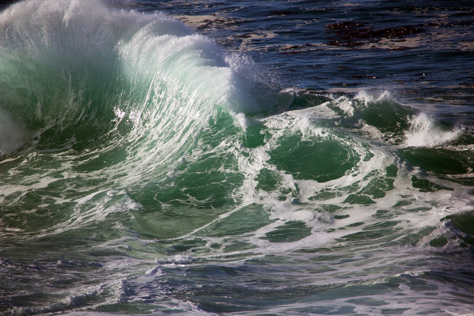 STX Photography by Carlon Cathey - www.stxwavephotography.com: Wild ...