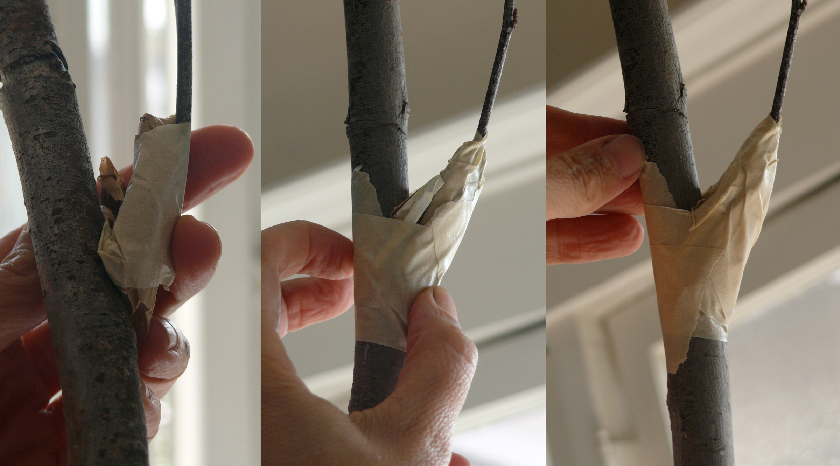 Seasons: Time is a Place