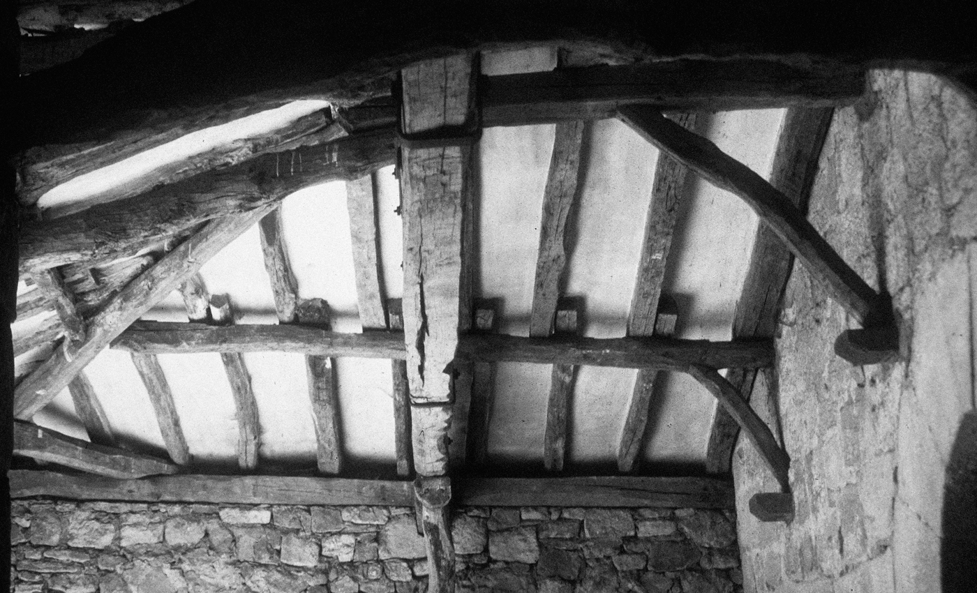 Fotografia Edurne Iza: La Foto del día: 05-10-2011 "Josephine vs Joseph IV"