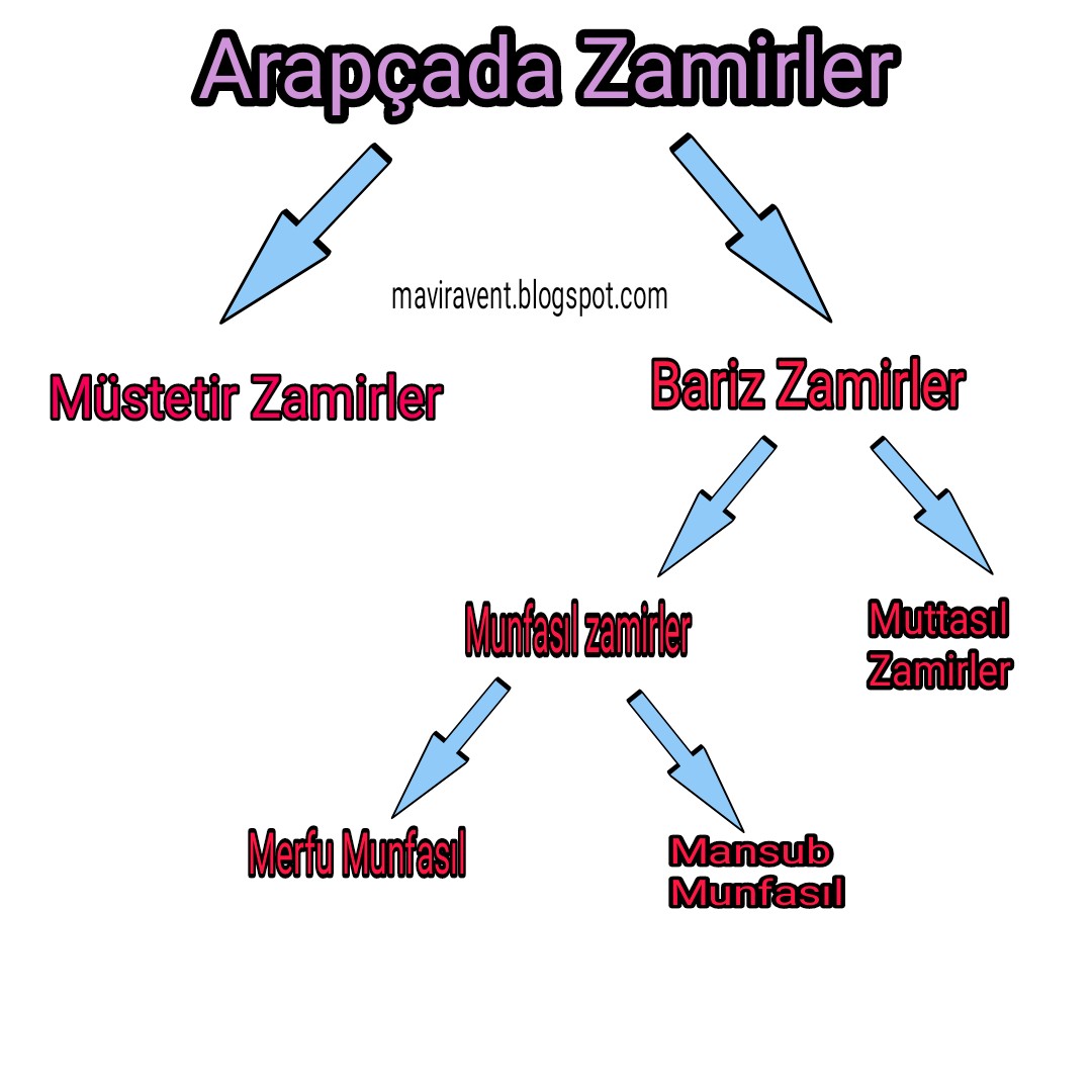 Arapçada Zamirler Kaça Ayrılır?