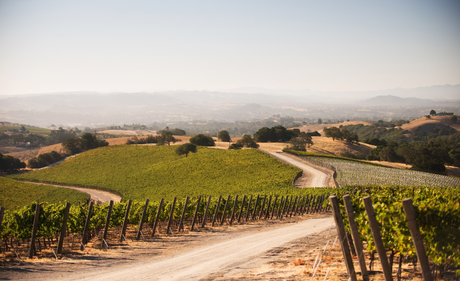 The Wine Write: Spotlight Wine: 2011 Epoch Block B Syrah