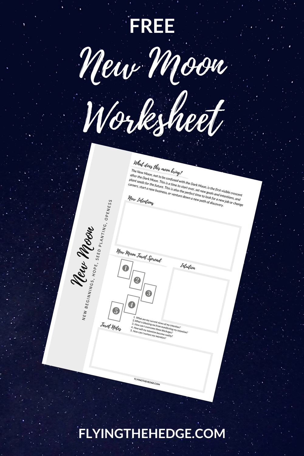 Flying the Hedge: New Moon Worksheet