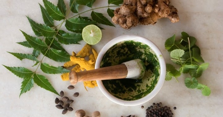 DaySpring Health Care: HERBAL THERAPY