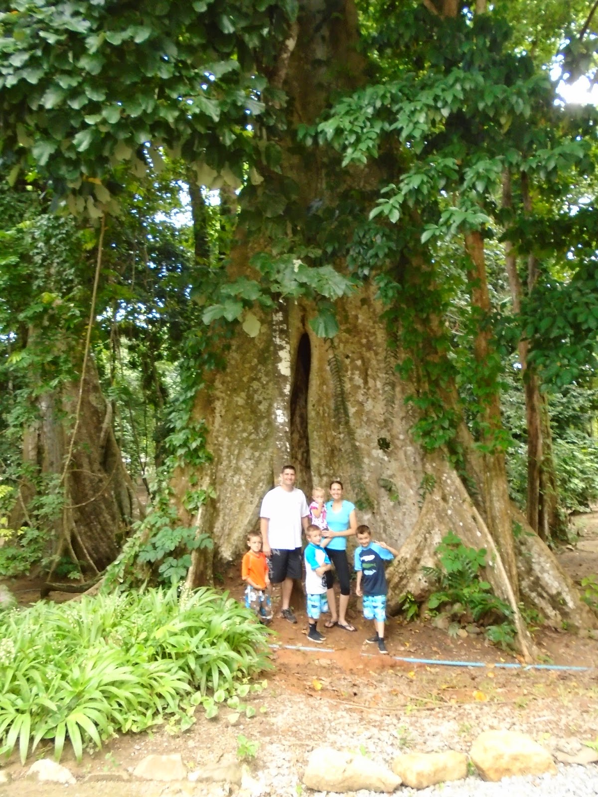 Khao Phanom Bencha National Park - Wanderings