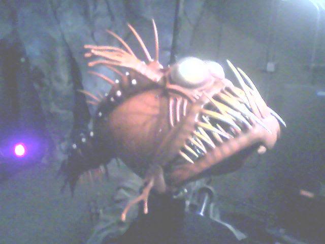 Fishes Images: Anglerfish