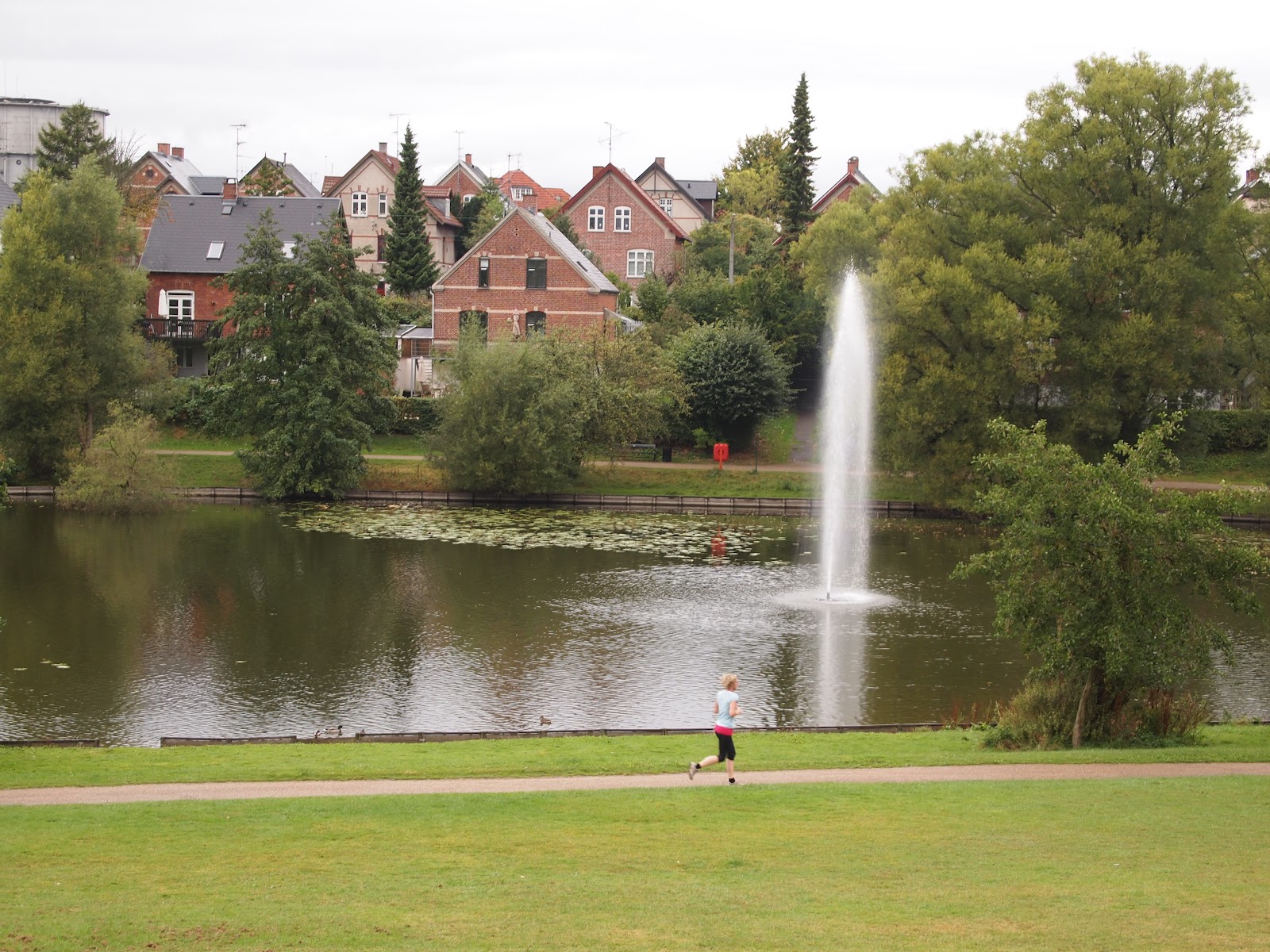 Springvand i København: Degnemosen