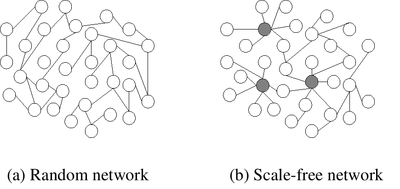 power-law: Network Analysis (scale-free networks):