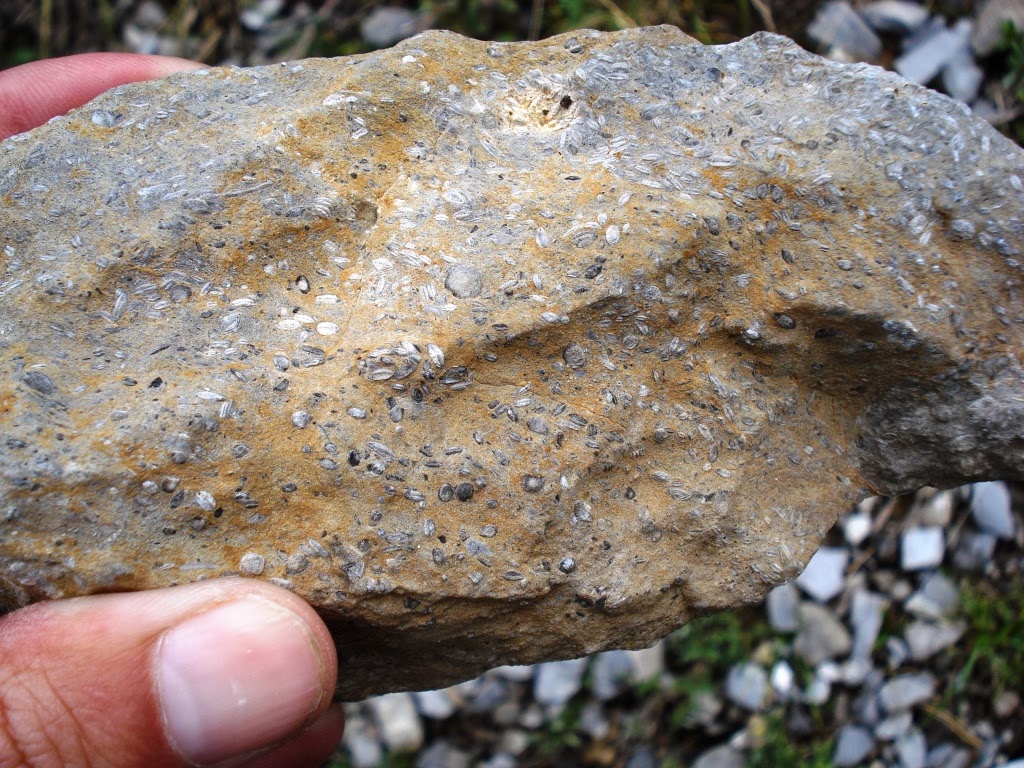 Por la faja de Pelay hasta la Cola de Caballo. Geología en Ordesa y ...