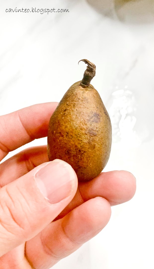 Entree Kibbles: Fijian Longan (Mom Called It Wild Longan) - A Fruit I ...