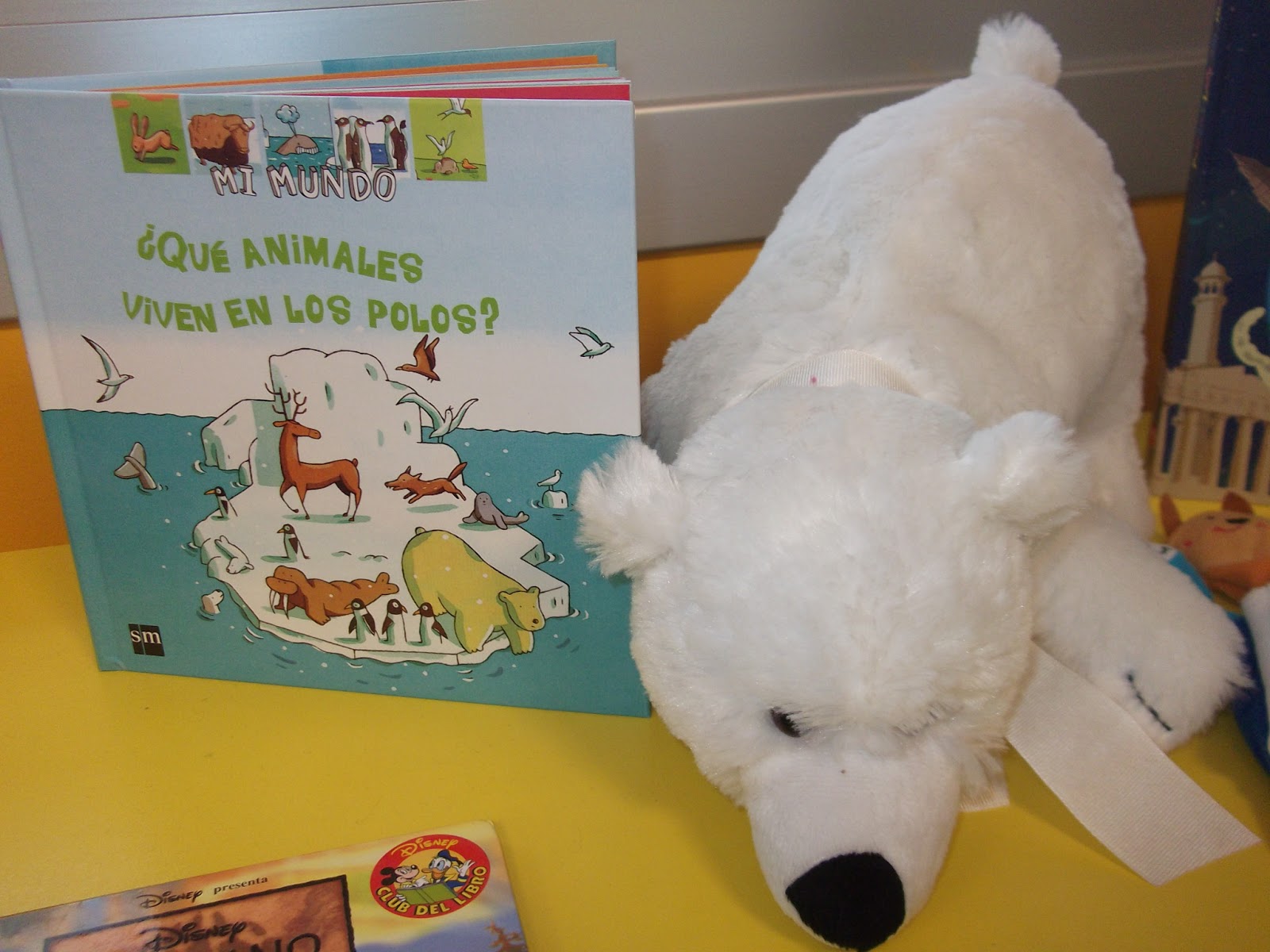 LAS AVENTURAS DE LOLA EN EL COLE: EL OSO POLAR