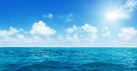 32 Fakta Menarik Tentang Lautan Yang Harus Kamu Tahu - IKAN DAN LAUT