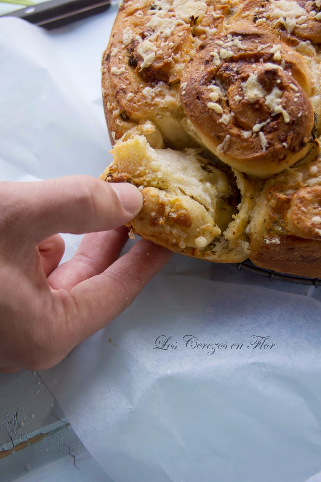 Los cerezos en flor: Caracolas de pan de ajo!!