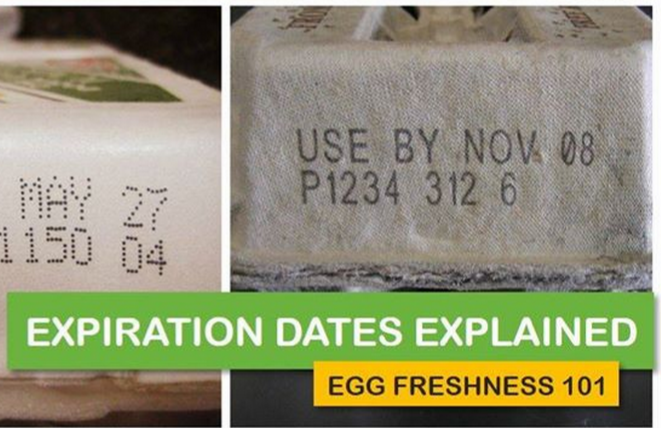 Extreme Couponing Mommy: Egg Freshness 101: Expiration Dates Explained