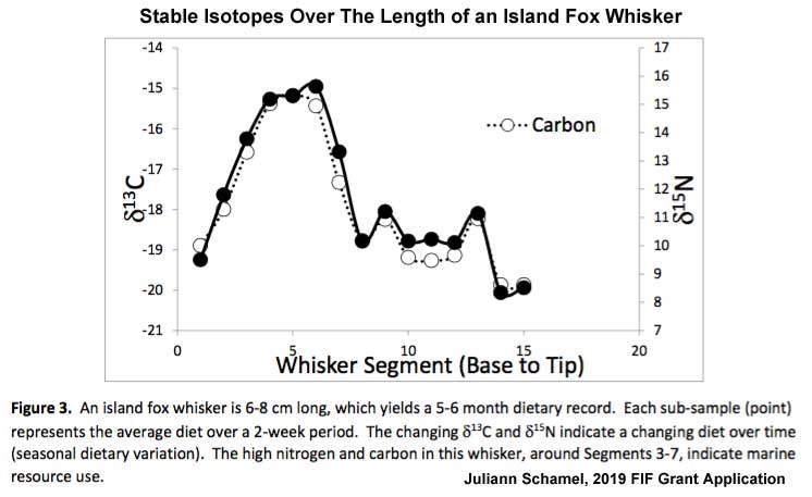 Friends of the Island Fox: FIF Research Grant to Investigate Further ...