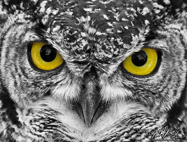 ALL i WANNA DO is BAKE!: Amazing Selective Color Photographs