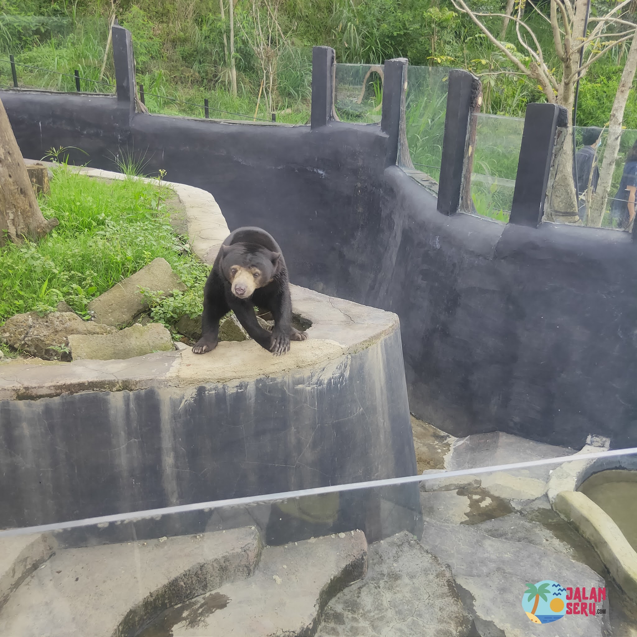 Lembang Park And Zoo Tempat Wisata Baru Di Bandung - Jalan Seru