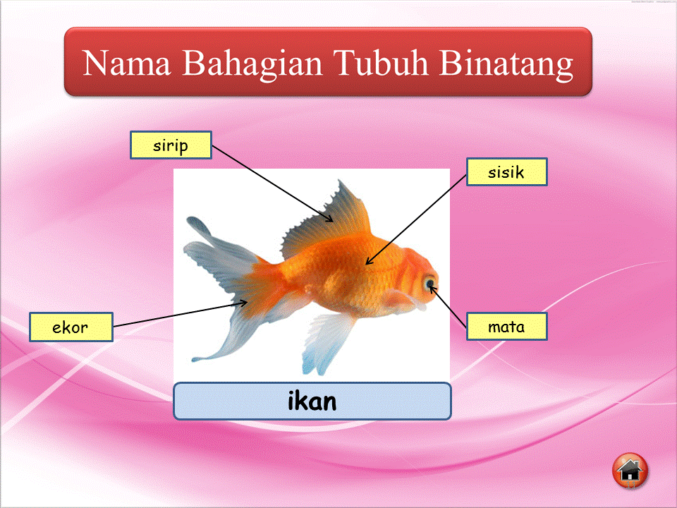 DuNiA SaInS dAn TeKn0l0Gi {TaHUn 1}
