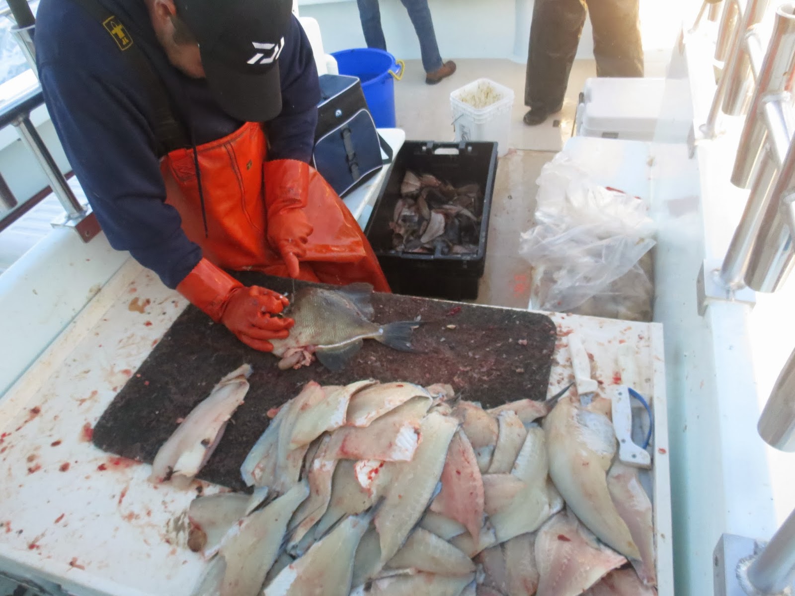 Viking Fivestar Fishing Report: Saturday Nov 16th Coxes Ledge for Cod ...