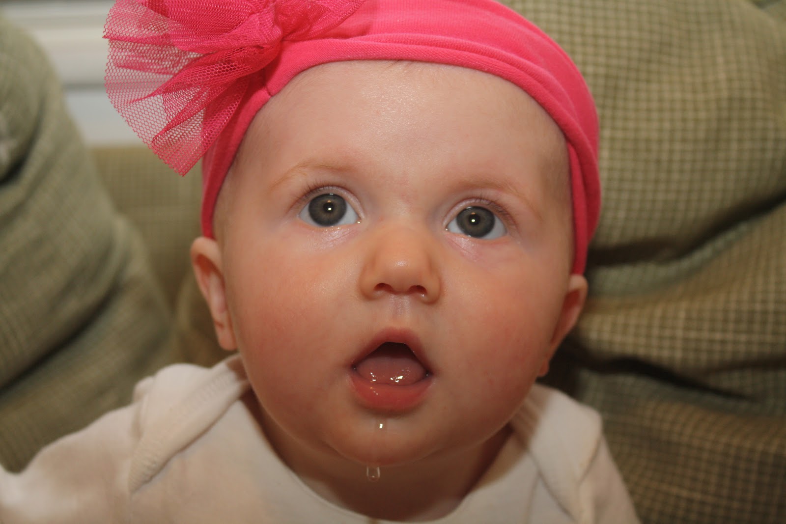 Adeline's Adventure