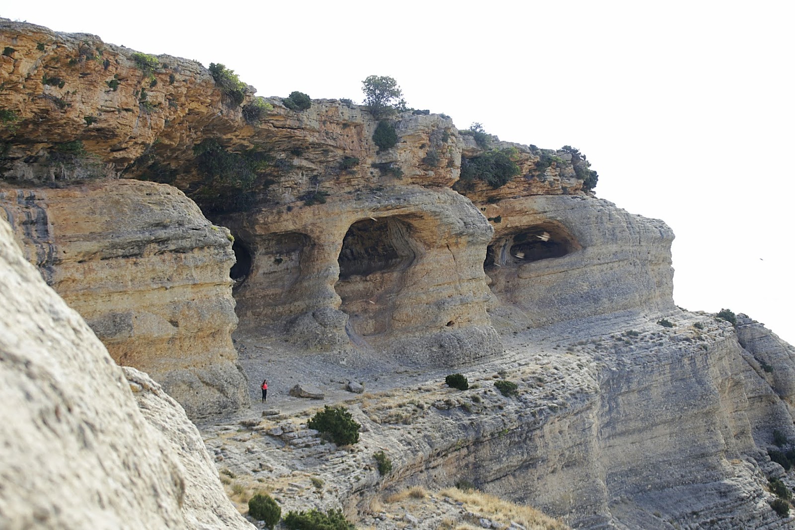 Calar de las Cuevas de Zaén y Bajil de Moratalla