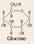 Carter biochemistry connections: A Simple Explanation of Glucose Breakdown