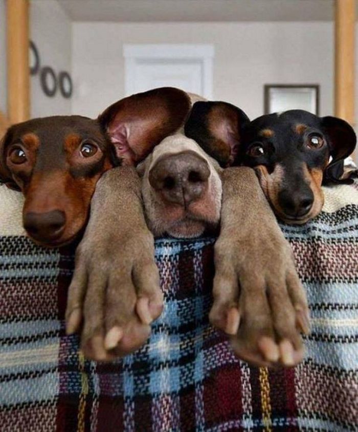 Most WTF Pictures of the Day 1