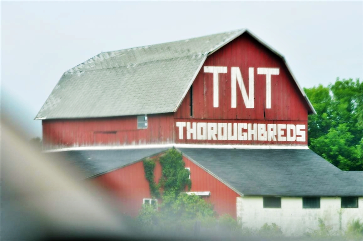 TNT