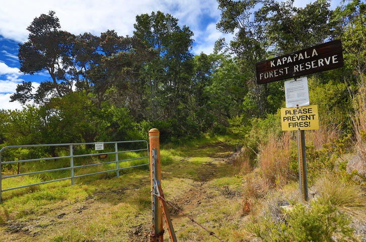 Mauna Loa summit via Ainapo Trail ascent -- Patrick Rorie