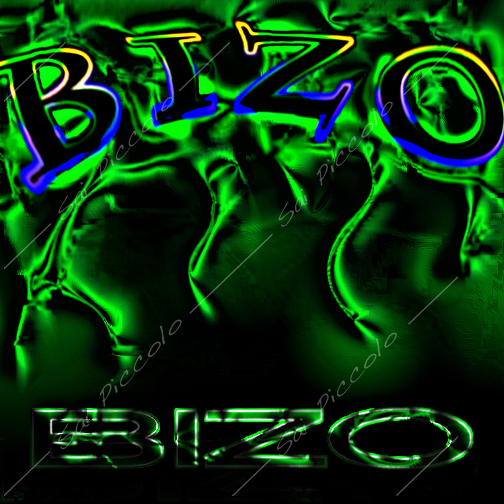 Bizo Designs