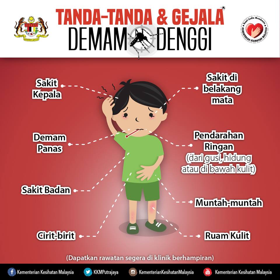 Tingkatkan Platelet Darah dan Rawatan untuk Pesakit Denggi, Elak Kena ...