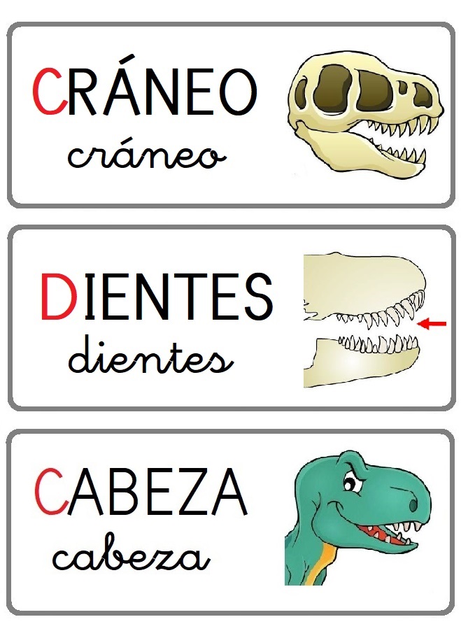 RECURSOS y ACTIVIDADES para Educación Infantil: Tarjetas de Vocabulario ...