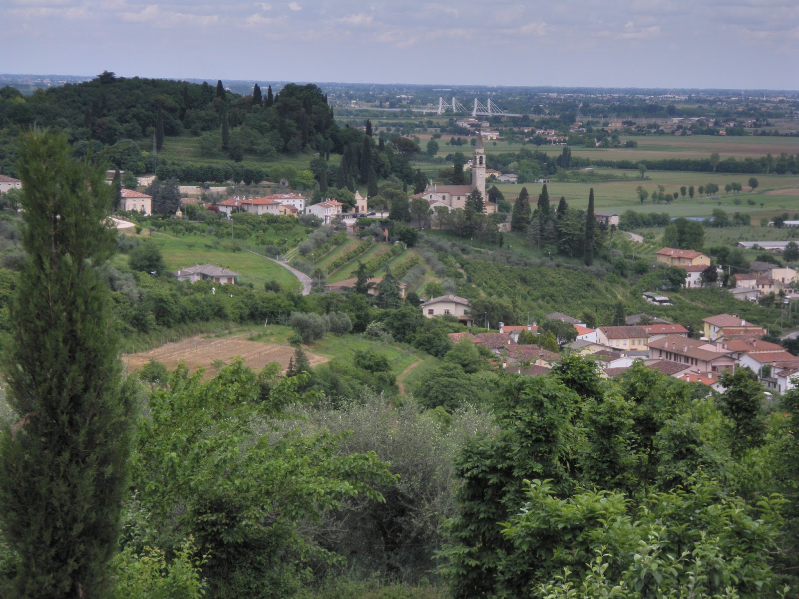 In and about Vicenza: Il Giro d'Italia - Pink is the colour!