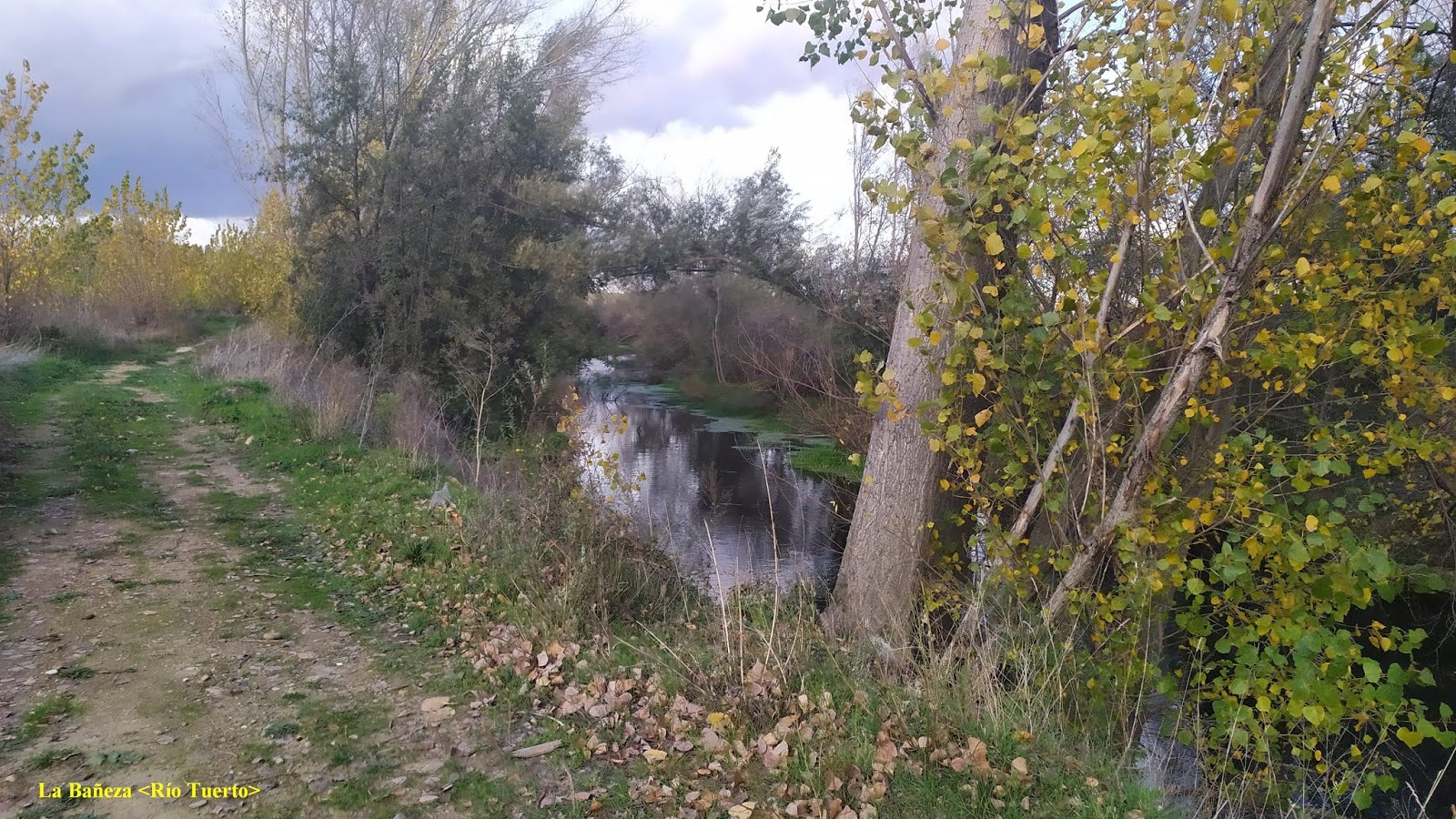Sierra de Madrid y Más: La Bañeza, Paseo Urbano, Graffitis y Río Tuerto