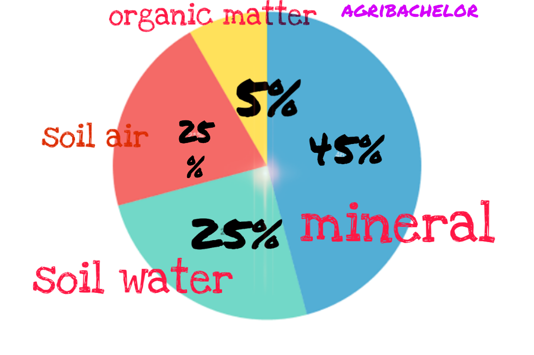 Agribachelor: what is soil ? what is the phases of soil and what is ...