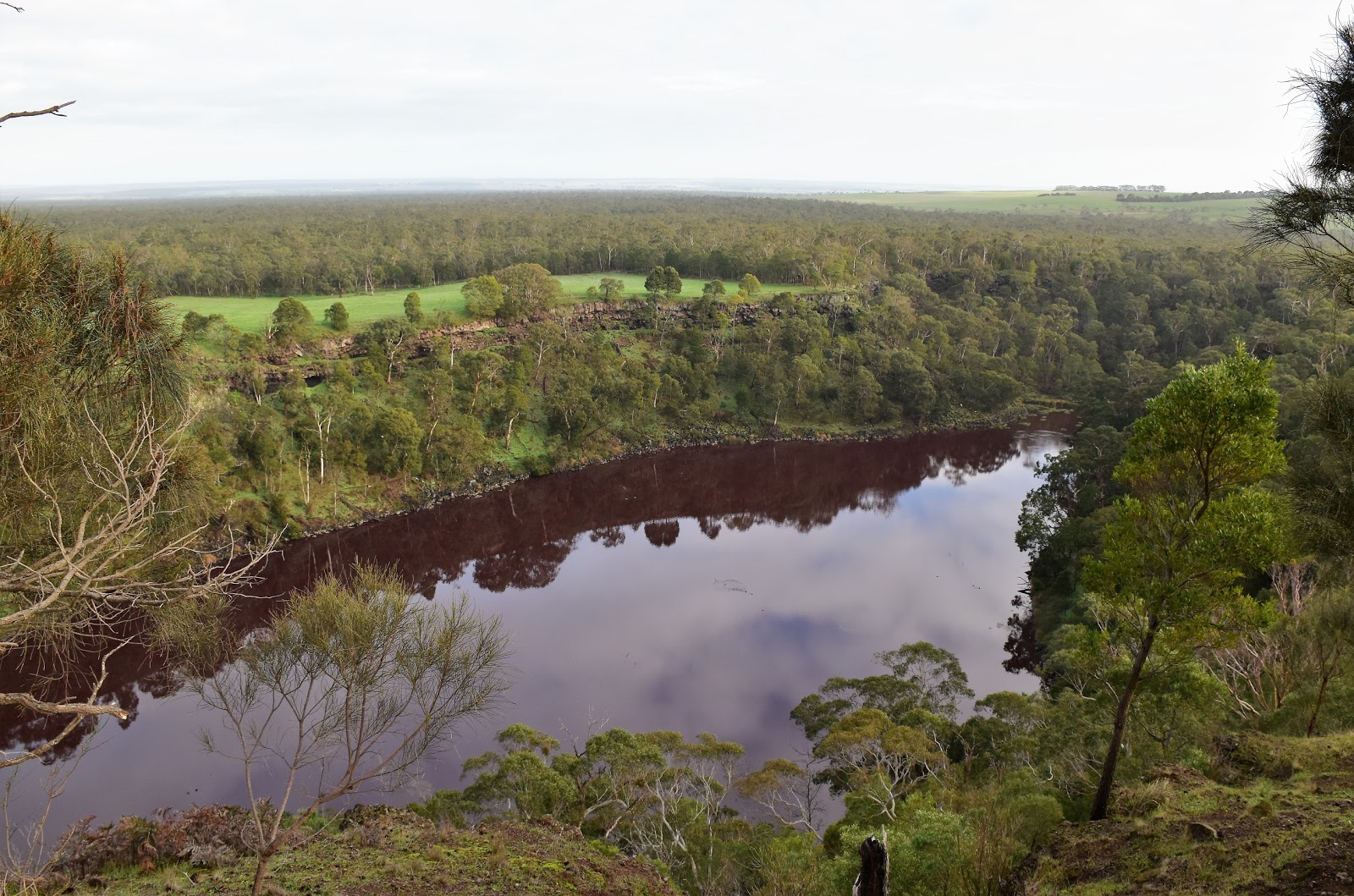 Goin' Feral One Day At A Time: Mt Eccles Lava Tubes, Budj Bim National ...