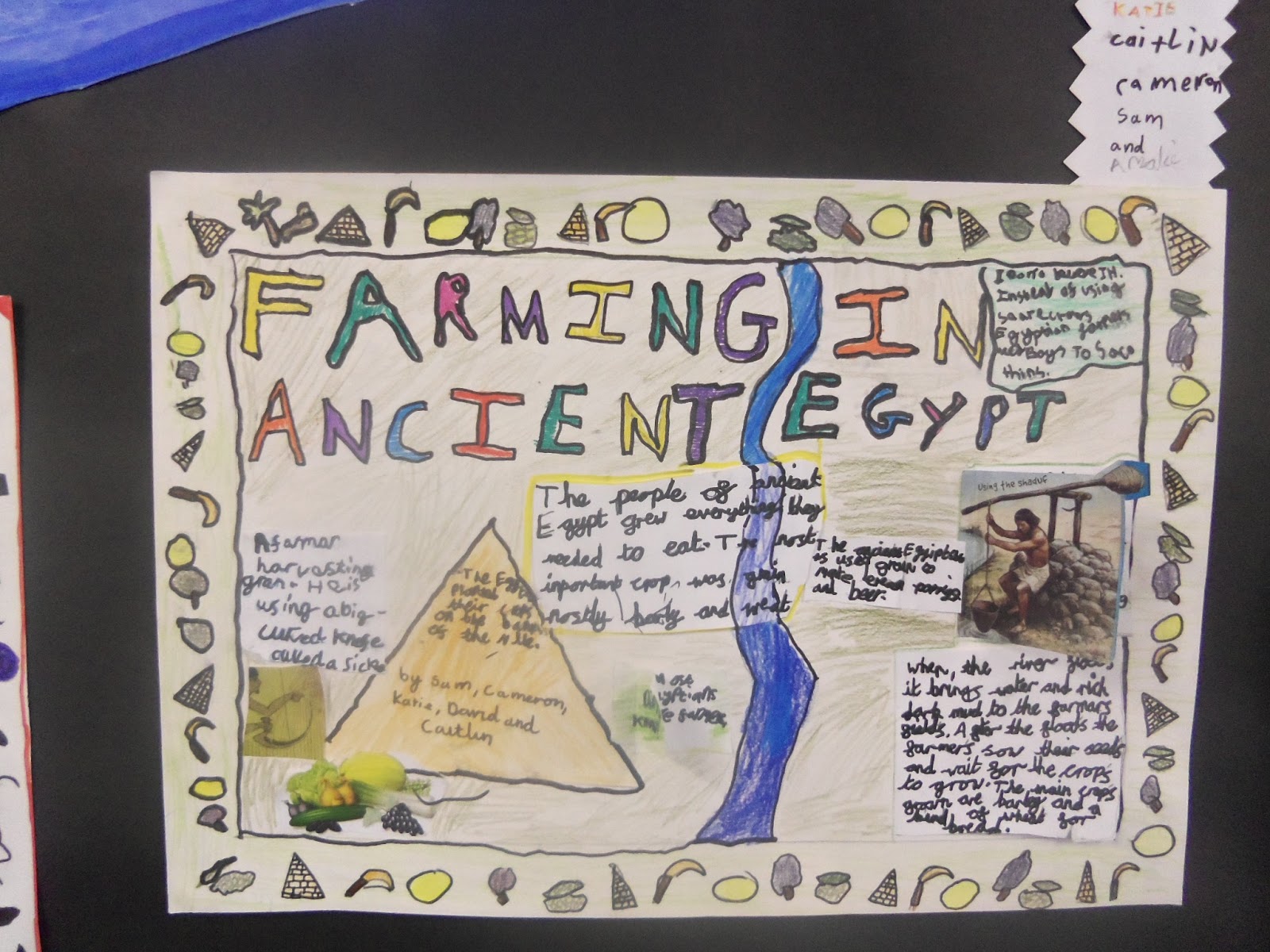Sciennes Class of 2010: Farming in Ancient Egypt
