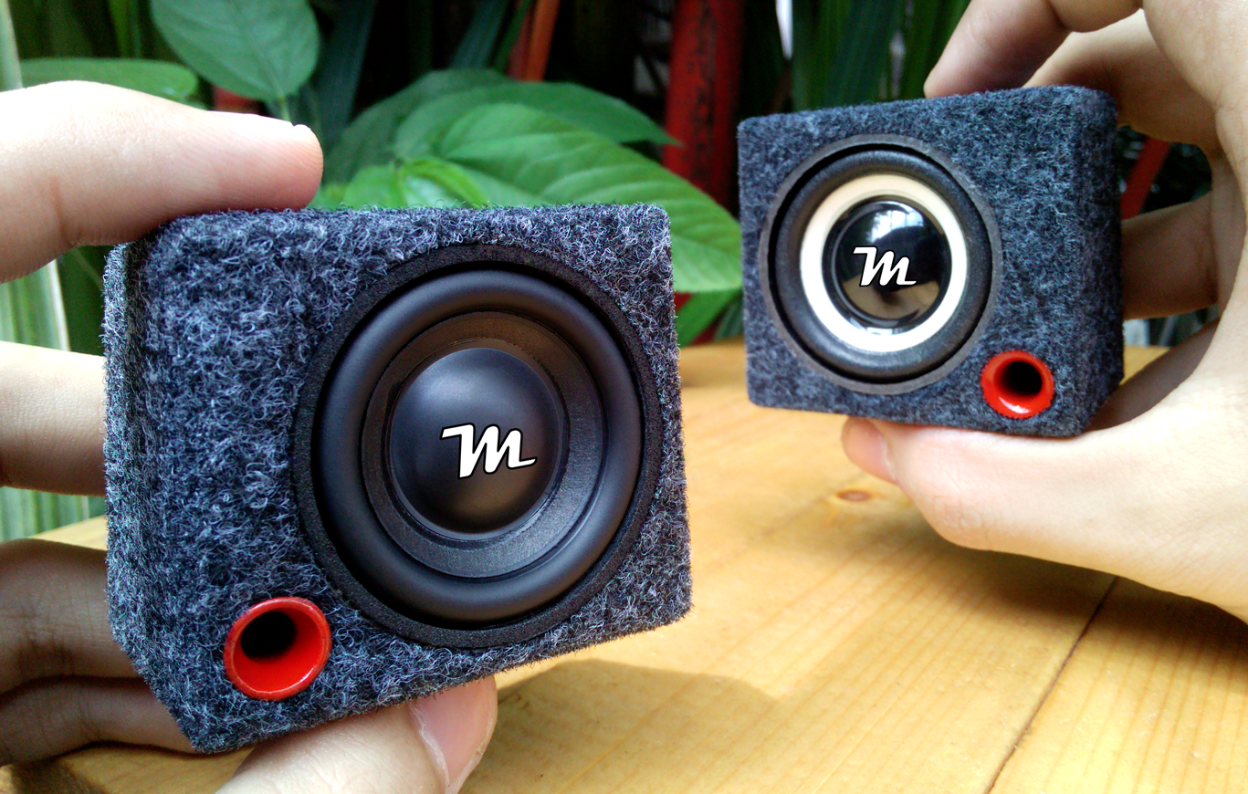 DIY Mini Subwoofer: 2019