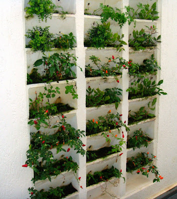 Horta em caixotes