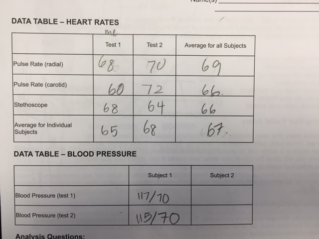 Nimisha's Anatomy & Physiology blog: Blood Pressure Lab