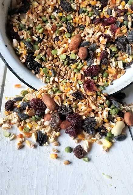 The Ultimate Chicken Scratch Grain Recipe - Fresh Eggs Daily® with Lisa ...