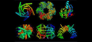 Nama Nama Enzim Dan Fungsinya | Suka Belajar