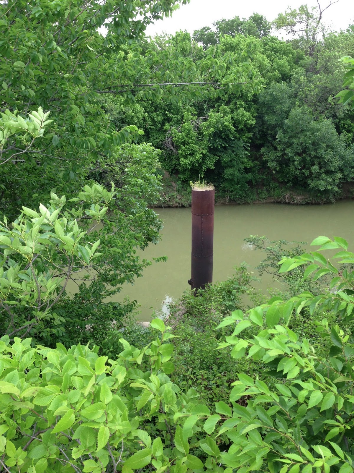 The Roaming Itinerant: Campion Trail North (Irving, TX)