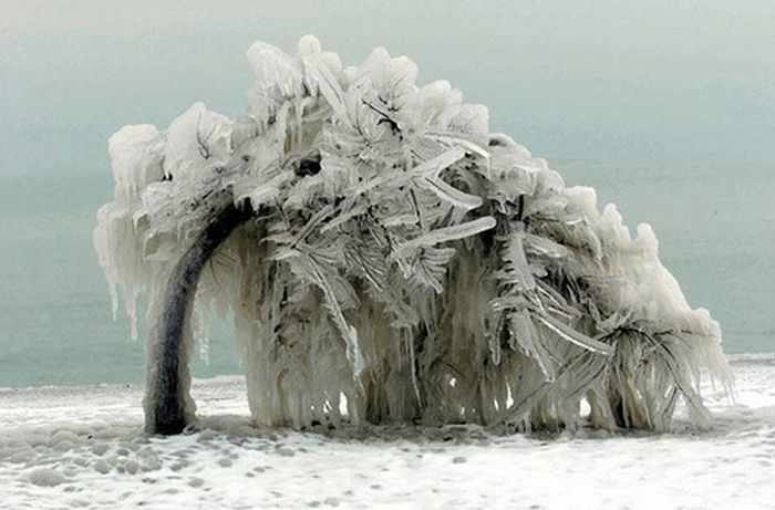 The Agatelady: Adventures and Events: All About Ice Storms
