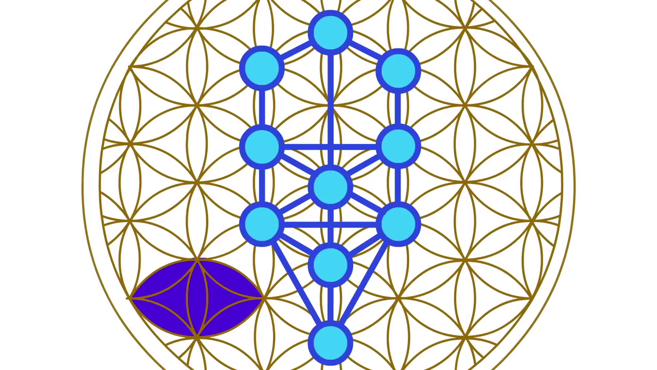 The Ancient Secret of the Flower of Life