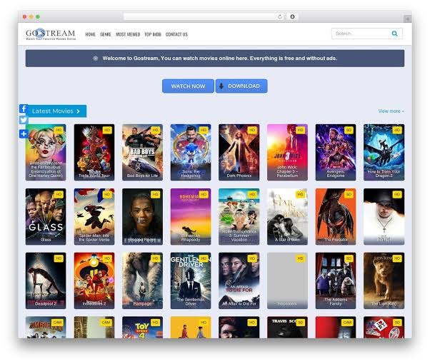 Gostream - Movies Streaming Online Review - Cinemaxs21