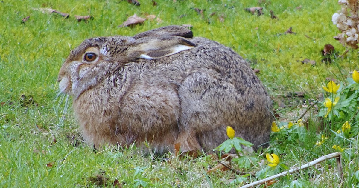Хүүхдийг багаас нь хөгжүүлье: МИНИЙ ХӨӨРХӨН АМЬТАД (2)