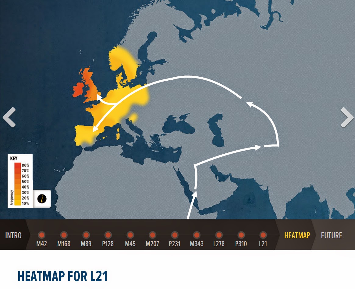 Dr D Digs Up Ancestors: BIG Y: My First Genealogically Relevant Find.