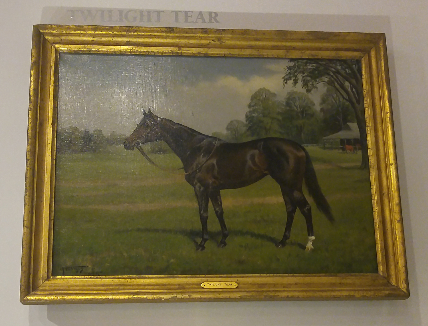 Model Horse Collectibility: May 2017